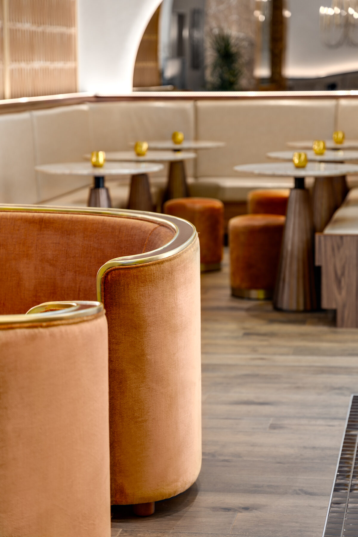 Clove Indian Fine Dining | House of Bohn